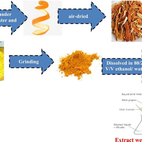 Preparation Of Orange Peel Extract Ope Download Scientific Diagram