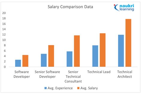 Software Developer Career Options Career Planning And Guidance For