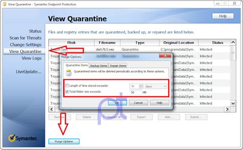 Purge Quarantine Folder Files Of Symantec Automatically
