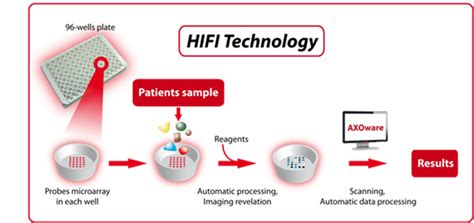 Microarray In A 96 Well Plate Format From Axoscience Axoscience