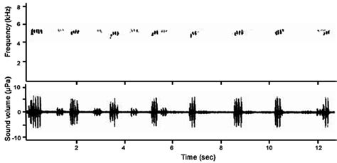 Audiospectrogram Top And Amplitude Waveform Bottom Of