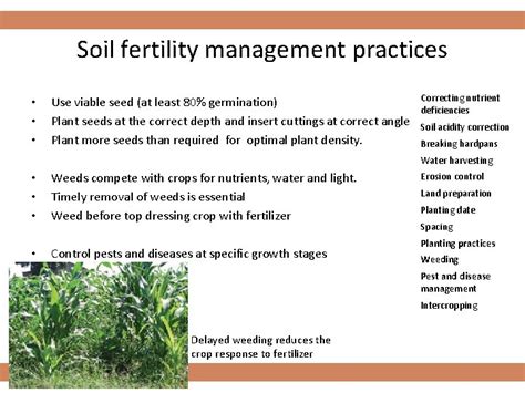 Soil Soil Fertility Africa Soil Health Consortium
