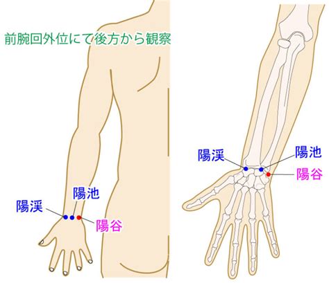 陽谷ようこくSI5