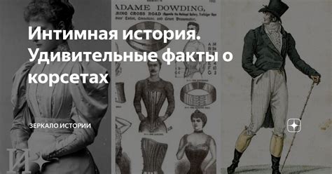 Интимная история Удивительные факты о корсетах Зеркало истории Дзен