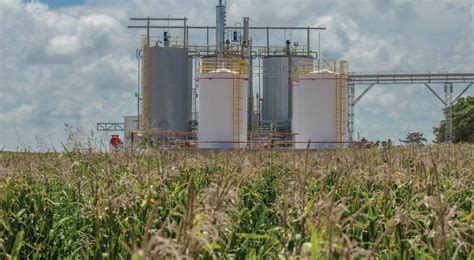 El Bioetanol Y El Biodiesel Aumentan Acorde A Los Ajustes De Ypf
