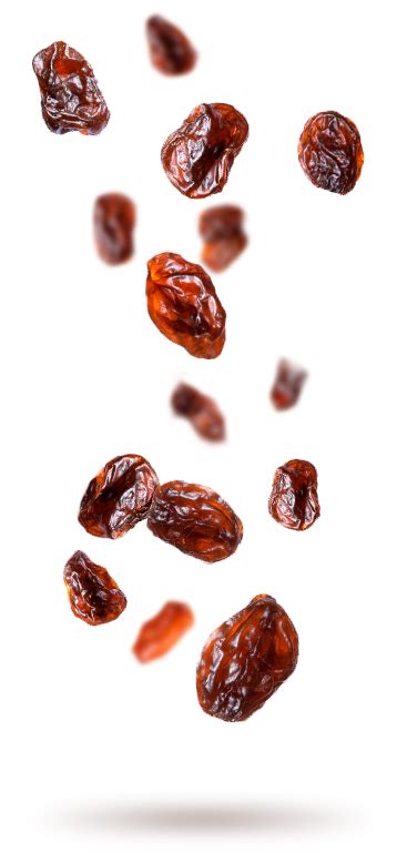 Pedregal Pasas The Fruit Company