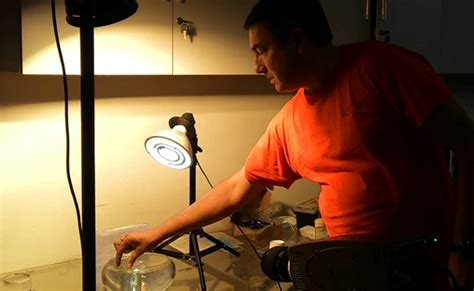 New Robot Swims And Jumps Like A Chinese Rice Grasshopper