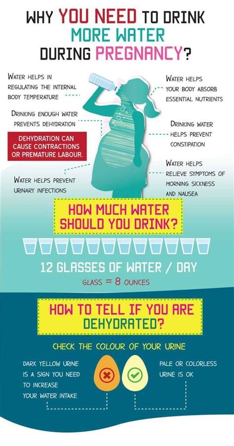 How Much Water To Drink During Pregnancy Pregnancy Nutrition