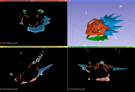 Older Scenes And Specimens Loading Incorrectly Support 3d Slicer