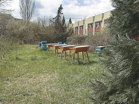 Курсове за начинаещи пчелари в Лесотехническия университет Български Фермер