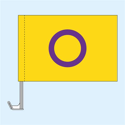 Intersex Pride Car Flag Flags And Flagpoles