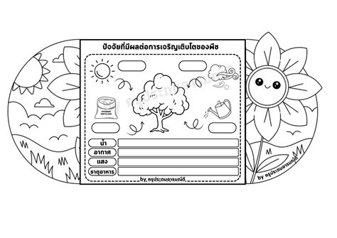 🌳 แจกฟรี ครูประถมอารมณ์ดี Facebook