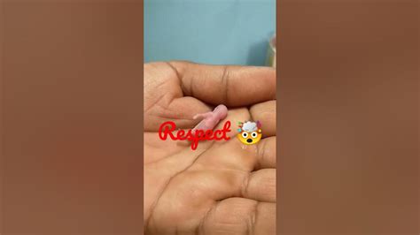 Respect Mause 😇😇🥰 Mouse Chuhe Ka Baccha Chuha Youtube