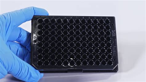 Endotoxin Detection Assays And Services Youtube