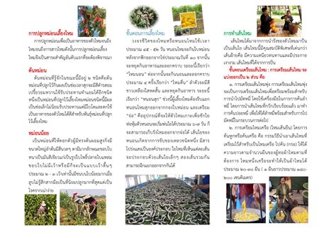 ที่นี่สวายจีก แผ่นพับการทอผ้าไหม Facebook