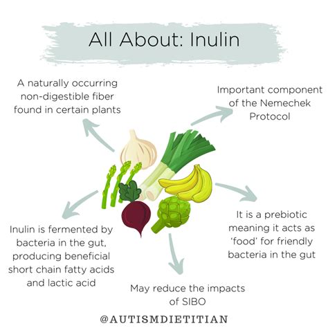 Inulin Sources