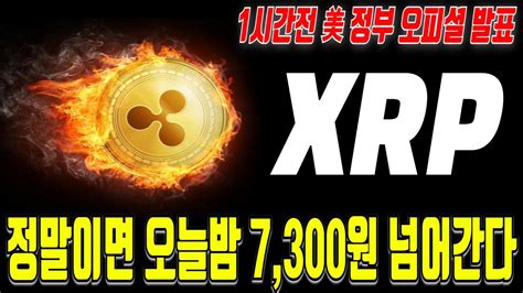 리플 전망 정말이면 오늘밤 7300원 넘어간다 리플 리플전망 리플분석 Xrp 엑스알피 Sec Youtube