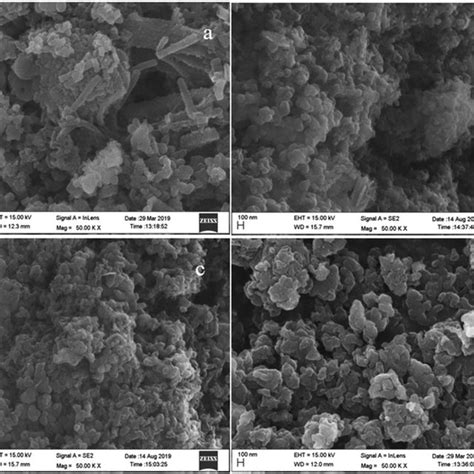 Sem Of A T A B O A C Hcl And D Hclo 4 Doped Pani Samples Download Scientific Diagram