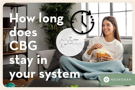 Does Cbg Show Up On A Drug Test Testing And Staying Safe Neurogan