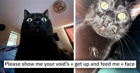 25 Hissterical Examples Of Hungry Voids Staring Back Demanding Snacks