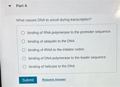 Solved Part Awhat Causes Dna To Uncoil During