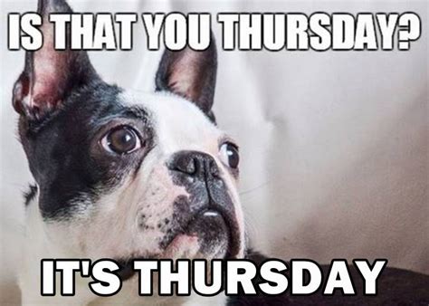 112 Funny Thursday Memes To Get You Through Week Funzumo