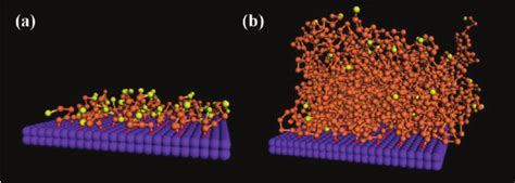 Snapshots Of The Surface Initiated Polymerization With The Initiator
