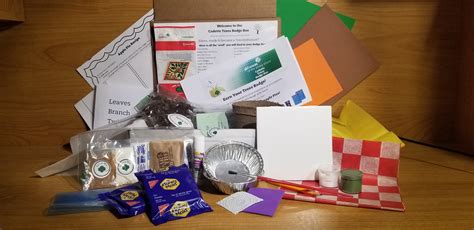 Cadette Trees Badge Box