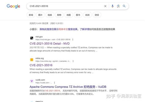 漏洞分析指南：开源软件漏洞深度分析与实战复现 知乎