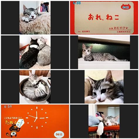 今日見たtv：2022年12月5日 月 ～1年8ヶ月ぶりと2年9ヶ月前と1ヶ月ぶり～ Club Ar Eテレ おかいつ・ファンターネ！ の日々