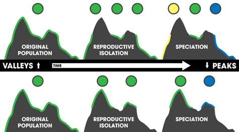 Geographic Isolation — Definition And Examples Expii