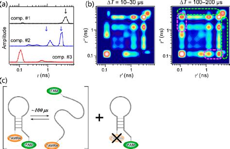 Figure 4 From Two Dimensional Fluorescence Lifetime Correlation Spectroscopy Concepts And