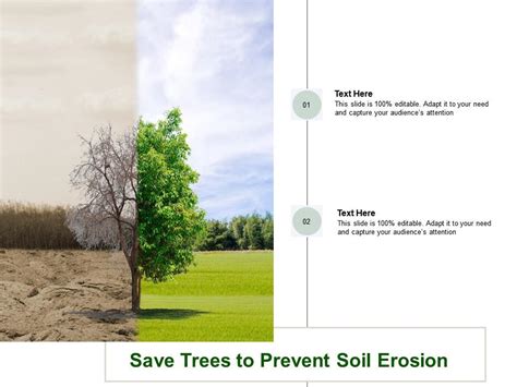 Save Trees To Prevent Soil Erosion Template Presentation Sample Of PPT Presentation