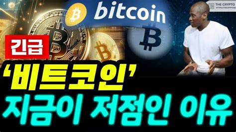 비트코인 전망 비트코인이 지금 저점인 이유 이 영상보시고 기회 잡으세요 코인전망 코인추천 Youtube