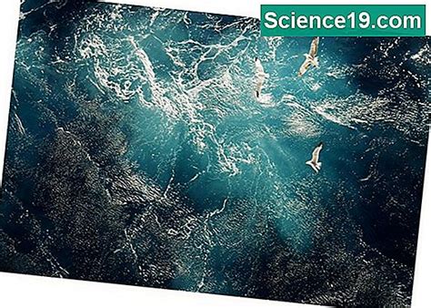 Hvad er Lambda Max Videnskabelig Og Populære Multimedie Portal 2025