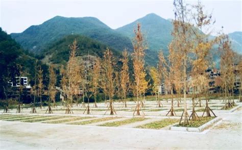 2024百里峡漂流玩乐攻略 漂流是无比快乐的不仅可以 去哪儿攻略