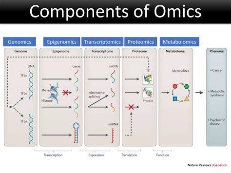 Genomics Transcriptomics Proteomics Metabolomics Basic Concepts