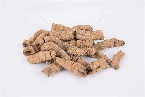 Radix Morindae Officinalis Photo Image Picture Free Download 500855351