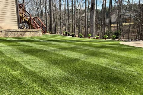 Different Types Of Grass For Lawns Identify Your Lawns Grass