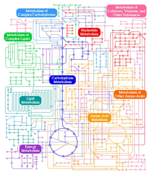 Introduction To Metabolism Metabolic Pathways Bioc 2580
