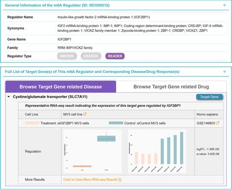Quantitative Description Of The Regulation Pattern Of Target Genes By M