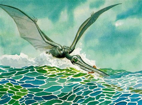 Pterodactyl Art