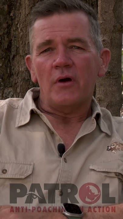 Illegal Logging Shorts Youtube