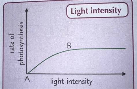 Limiting Factors In Photosynthesis Flashcards Quizlet