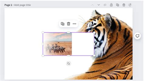 Double Exposure Effect Simple Canva Tutorial Entheosweb