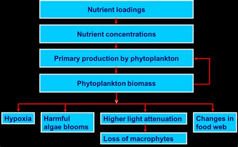 Conceptual Model Of Eutrophication Arrows Indicate A Positive Impact
