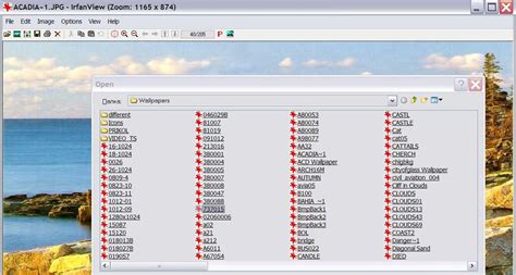 Irfanview 4 10 Full Featured Graphics Viewer Free Download Register Software And Games