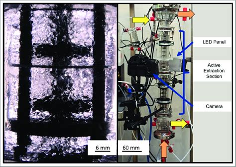 Experimental Setup Of The Solvent Extraction Column Left Side Download Scientific Diagram