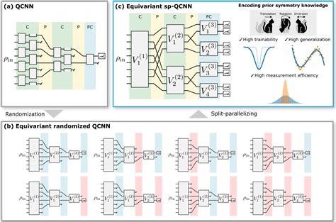 논문 리뷰 Resource Efficient Equivariant Quantum Convolutional Neural Networks