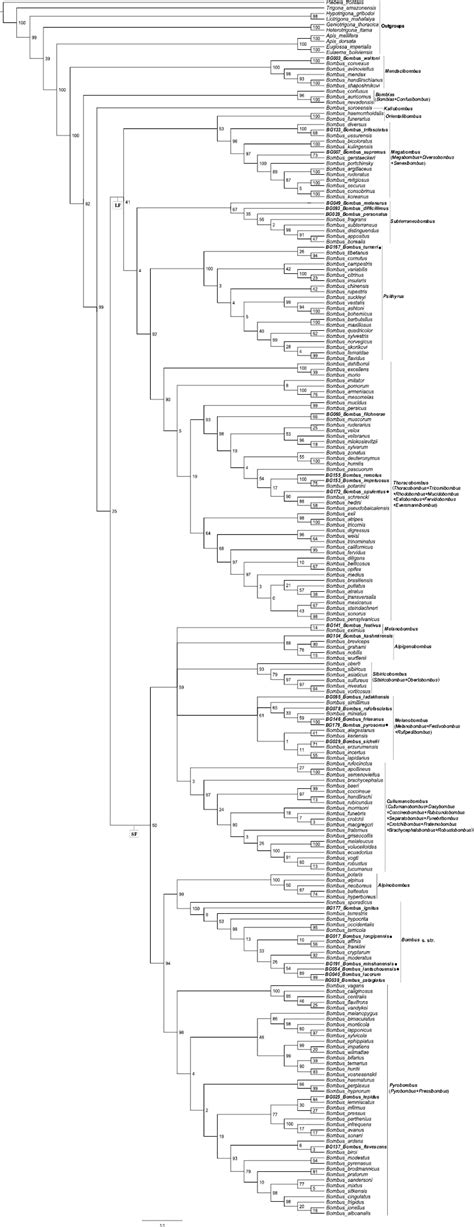 Using The Combined Gene Approach And Multiple Analytical Methods To Improve The Phylogeny And
